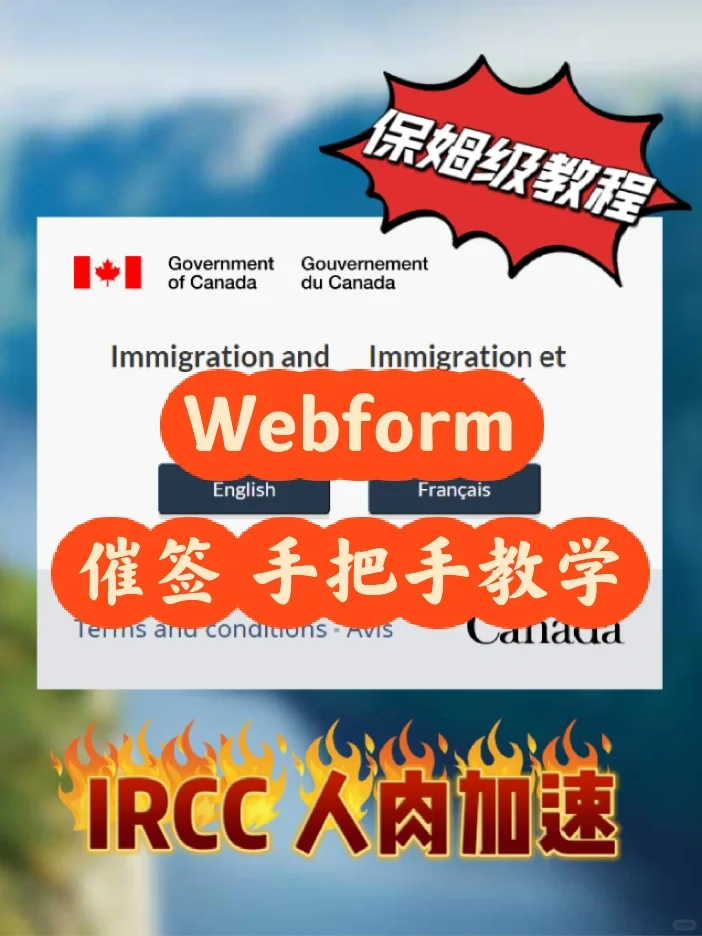 加拿大签证催签：IRCC Webform 手把手教学 - North Path | 北径信息